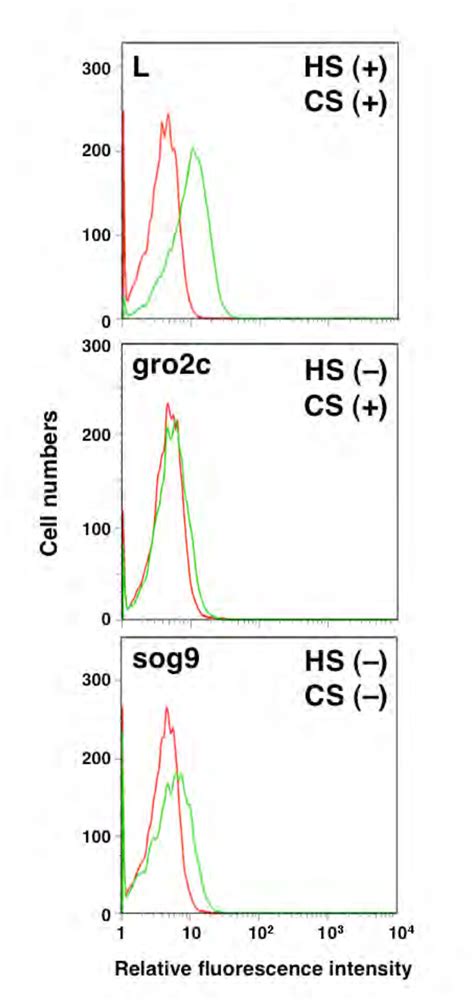 Fig S Interaction Of RAGE With Cell Surface CS And HS Using Download Scientific Diagram