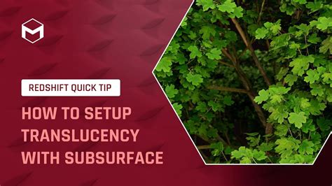 Redshiftquicktip 15 How To Setup Translucency With Subsurface Youtube Cinema 4d Tutorial