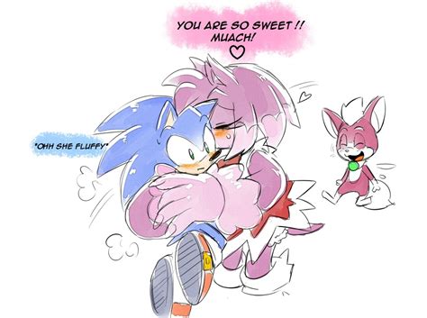Amy The Werehog 4 In 2024 Sonic And Amy Sonic Unleashed Sonic Fan Art