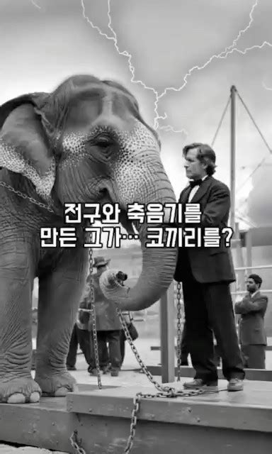 에디슨이 코끼리를 전기 고문 했다고 발명왕의 어두운 진실 역사 History Youtube