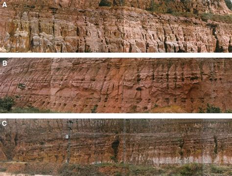 A Meandering River Outcrop Overview Some Lateral Migration Structures