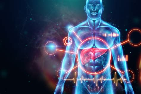 인체에 염증이 있는 간 이미지 인간 간염 치료 사업 개념 질병 예방 온라인 진단 3d 렌더링 3d 일러스트레이션 3차원 형태에 대한 스톡 사진 및 기타 이미지 Istock