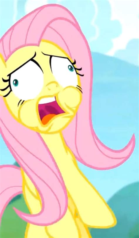 Fluttershy Puffy Cheeks By Jdjxm On Deviantart