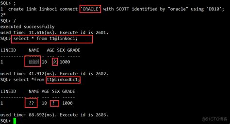 关于访问达梦数据库报错的常见问题jackins Blog的技术博客51cto博客