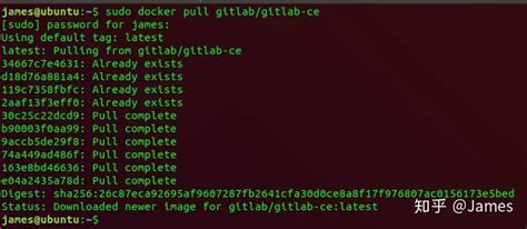 使用 Docker 搭建 Gitlab 知乎