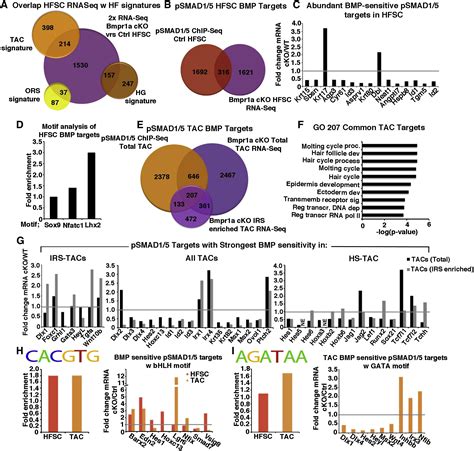 Bmp Signaling And Its Psmad15 Target Genes Differentially Regulate