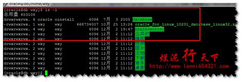 Ls的使用以及显示隐藏文件 阿里云开发者社区