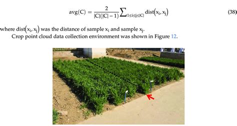 crop point cloud raw data collection environment download scientific diagram