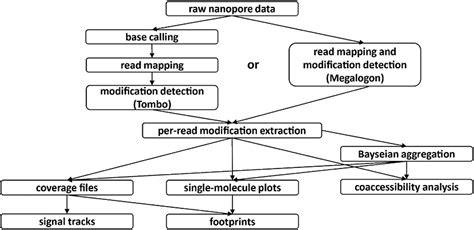 Single Molecule Multikilobase Scale Profiling Of Chromatin