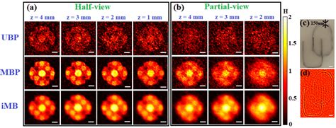 Xy− Cross Sections Of The Ubp First Row Mbp Second Row And Imb Download Scientific Diagram