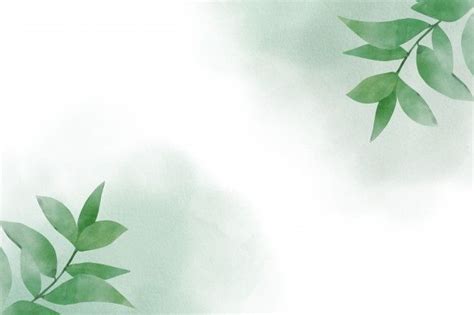Fondos Para Hoja De Presentacion Actualizado Agosto 2025