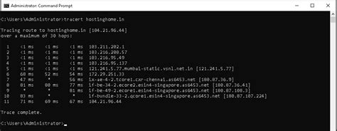 how to use the traceroute and ping commands to troubleshoot network connectivity issues