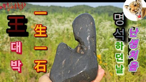수석탐석 장마가 최고의선물을주다 일생1석 하던날 세상에 태어나서 최고로 멋진 오석을 탐석하던날 공개 Youtube