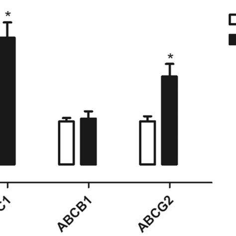 Lectin Binding Assay Cells Were Incubated During 48 H Before Being