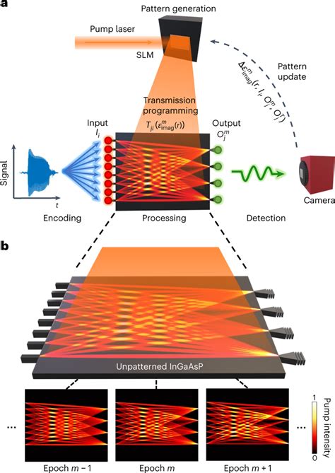 Lithography Free Integrated Photonic Processor For On Chip Signal