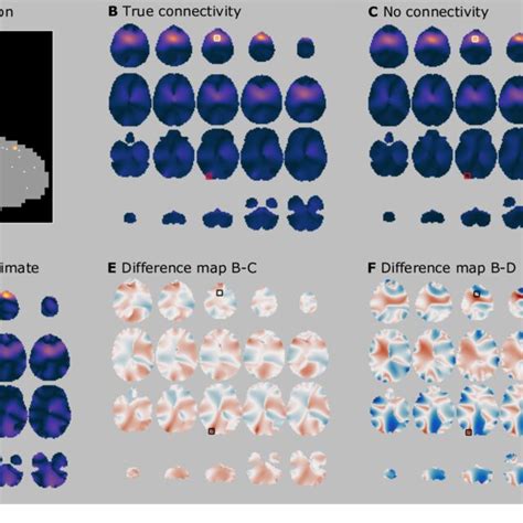 Illustrative Example A Spatial Configuration For Simulation Shown Are Download Scientific
