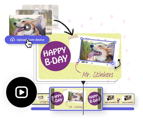 Mac용 무료 온라인 동영상 편집기 Adobe Express Mac용 무료 온라인 동영상 편집기 Adobe Express