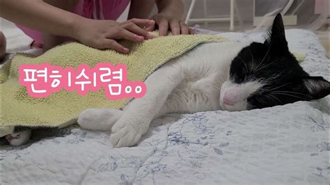 아프지말고 행복하자 Youtube