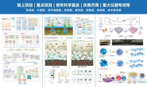 国自然基金配图，建议收藏！ 知乎