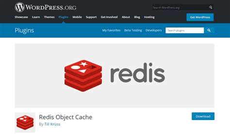 How To Speed Up And Optimize Wordpress Database And Queries