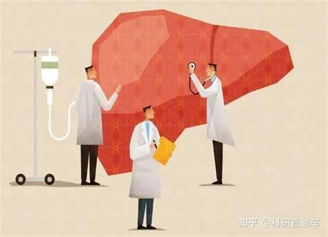受损的肝脏还能再生？揭示炎症信号通过诱导肝细胞去分化促进肝脏再生 知乎