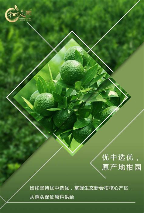 清爽可人火爆朋友圈的小花旦 柑沁园柑普茶官网