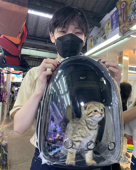 ᴘᴇɴɢᴜɪɴ 🐧ɞ 🧺 รักไม่รู้ภาษา ෆ 5 สิงหาฯ นี้ตอนแรก On Twitter แมวเด็กแมวนั้นโตมากลายเป็นโน่วคนนี้