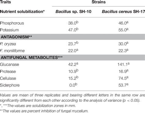 Plant Growth Promoting Traits Of Zn Solubilizing Bacteria Isolated Download Table