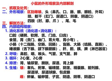 课程门户 章节详情