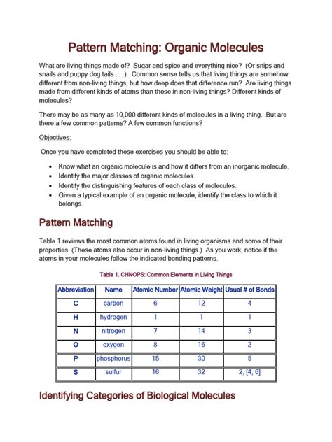 Macromolecule Pattern Matching Activity Sosnowski Pdf Fatty Acid Nucleic Acids