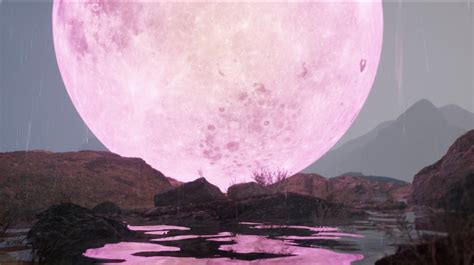 Zeitguised Anoomaly Sedition