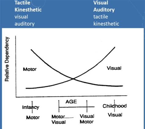 Pediatric Optometry Lab Visual Spatial Perception And Reversal Tests Flashcards Quizlet