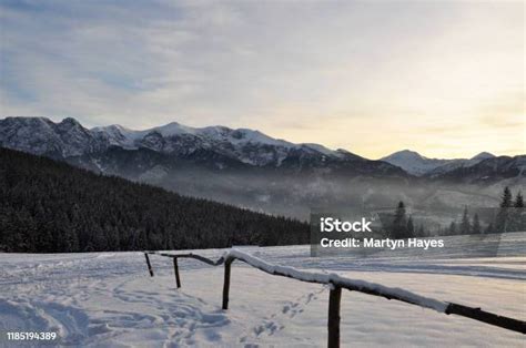 눈 덮인 들판 소나무 숲 일몰 하늘 아래 산과 겨울 원더 랜드 풍경에 나무 장벽 0명에 대한 스톡 사진 및 기타 이미지 0명 12월 1월 Istock