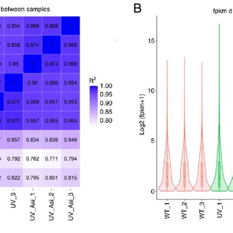 clustered analysis of correlation to analyzed samples a correlation