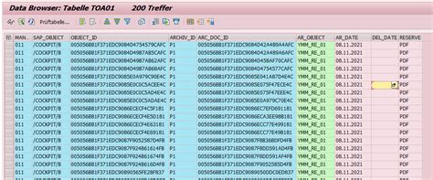 Problems With Zero Dates Sap Community