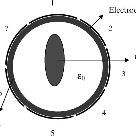 ECT Sensor With Seven Electrodes Download Scientific Diagram