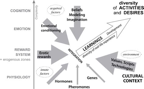 Modelisation Of The Multifactorial Dynamics Of Human Sexuality Download Scientific Diagram