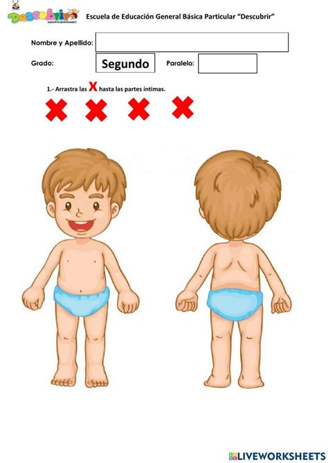 Partes Intimas Del Cuerpo Humano Worksheet School Subjects Teachers Google Classroom