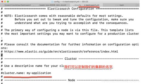 Elasticsearch中的一些重要概念cluster Node Index Document Shards及replicacluster Node什么意思 Csdn博客