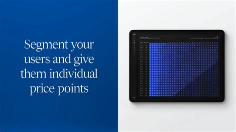 Segmentation Pricing Opttmizing And Maximizing Revenue