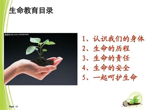 生命教育 课件word文档在线阅读与下载免费文档