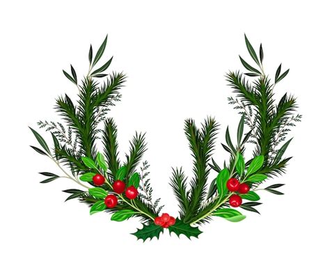 Premium Vector Bright Coniferous Tree Branches And Cranberry Twigs