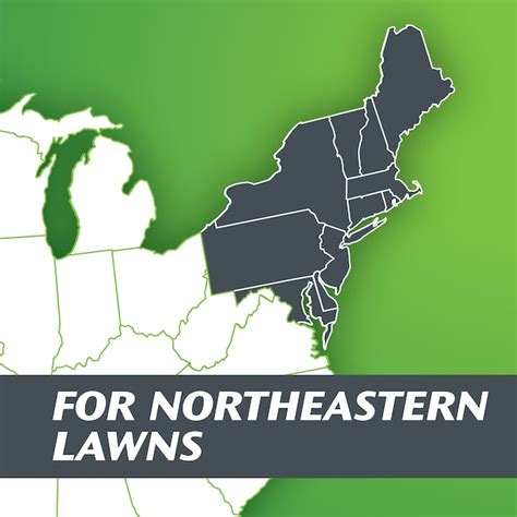 Scotts Turf Builder Northeast Mix 3 Lb Mixtureblend Grass Seed In The