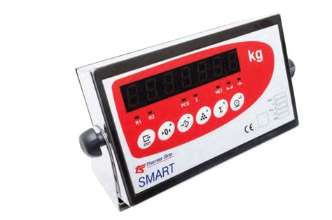 Thames Side Smart Digital Weight Indicator At Piece In New Delhi ID