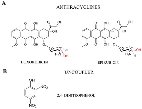 Chemical Structures Of A Anthracyclines Doxorubicin And Its Download Scientific Diagram