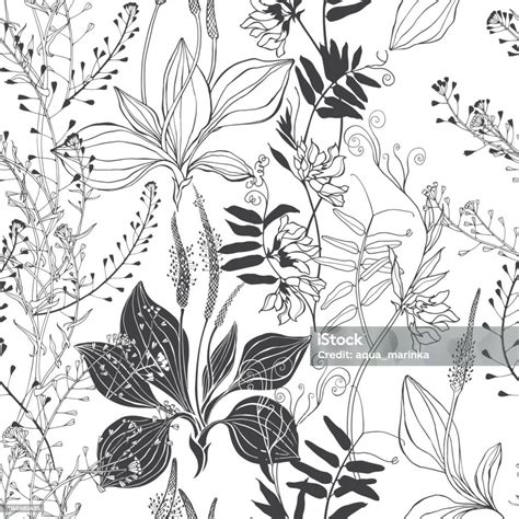 흰색 배경에 야생화와 원활한 벡터 패턴 꽃 질경이와 목자의 지갑 잔디 마우스 완두콩 실루엣과 라인 아트 0명에 대한 스톡 벡터 아트 및 기타 이미지 Istock