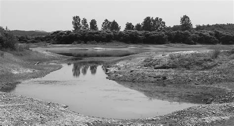 갈 수 손님일반사진 찬찬찬갤러리