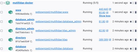 Ethical Hacking Using Mutillidae Ii For Application Security