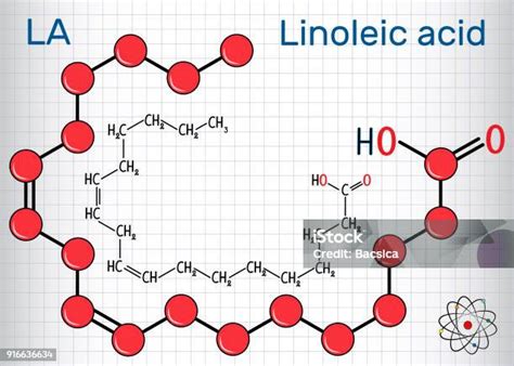 Linoleic 산 입니다 구조 화학 공식 및 분자 모델입니다 종이 한 장에 오메가 3에 대한 스톡 벡터 아트 및 기타 이미지 오메가 3 화학 과학 3차원 형태