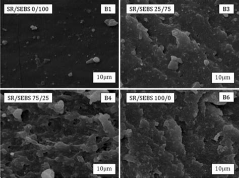 Sem Micrographs Of The Tensile Fractured Surface Of The Samples